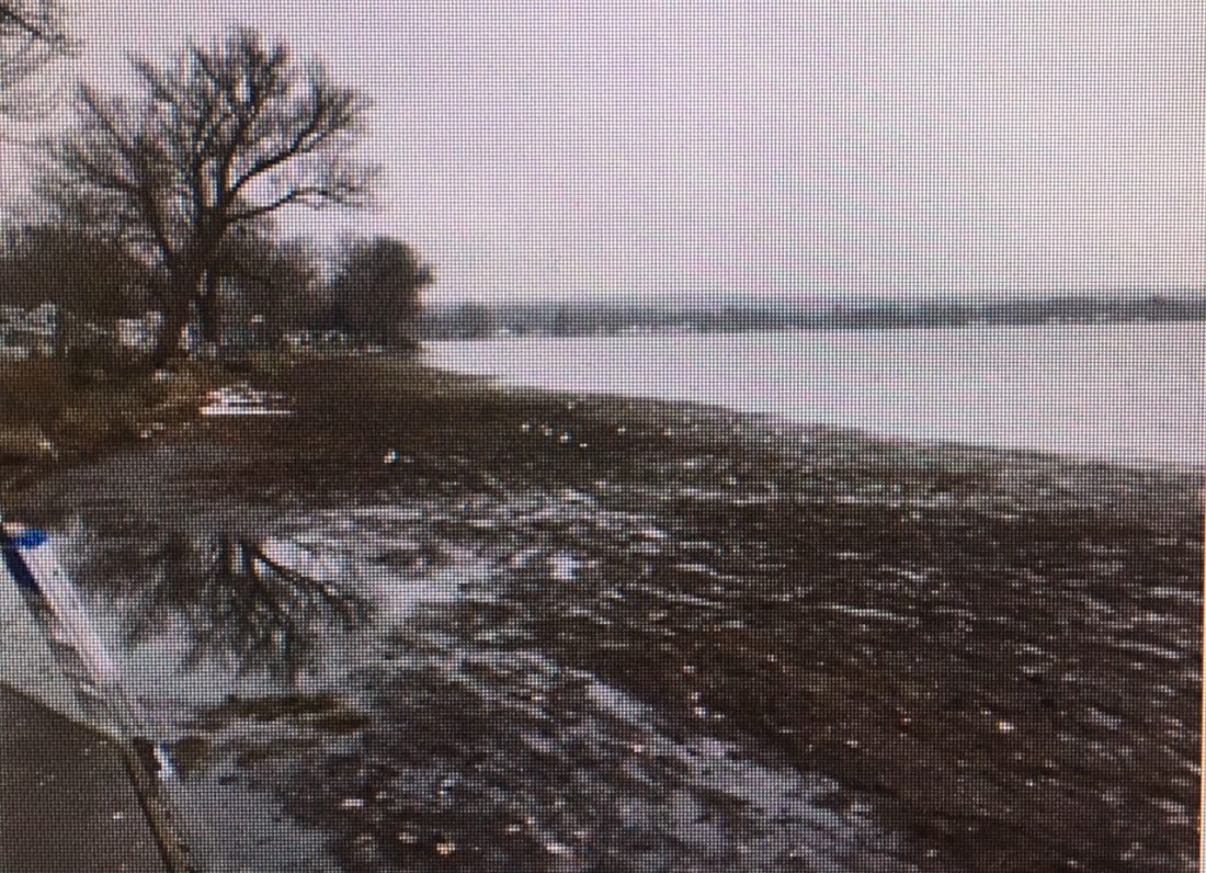 Clean-Up of Burtis Bay anticipated to take place this week | News ...